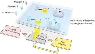 Intelligent optoelectrowetting digital microfluidic system for real-time selective parallel ...