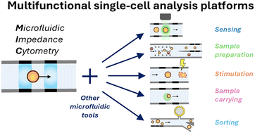 Integrating impedance cytometry with other microfluidic tools towards ...