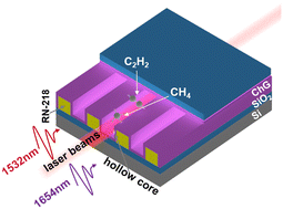 On-chip near-infrared multi-gas sensing using chalcogenide anti ...