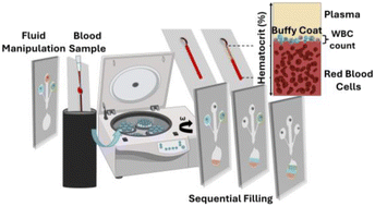 Dynamic fluidic manipulation in microfluidic chips with dead-end ...