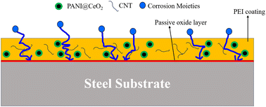 A ‘tortuous path’ and ‘protective oxide layer’ work in tandem in unique ...