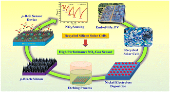 Recycled silicon solar cell-derived nanostructured p-black silicon ...