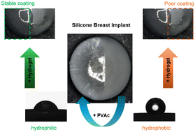 Enabling hydrogel coating on silicone breast implants with a poly(vinyl ...
