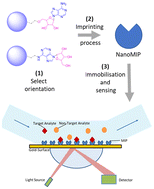 Adenosine detection in serum using a surface plasmon resonance ...