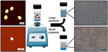 Oil-in-oil droplet stability dependence on dimensions of 2D Pickering ...