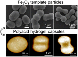 Synthesis and pH-responsive properties of bacteria mimicking hydrogel ...