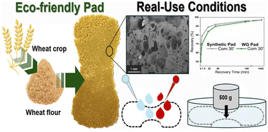 Assessing the properties of protein foams as an alternative absorbent ...