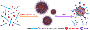 Photofabrication of fluorescent nanospheres from de novo designed ...