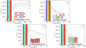 Insights into the interfaces of VO2(M) and VO2(B) polymorphs with ...