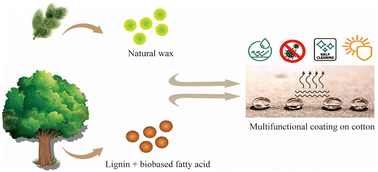 Thin multifunctional coatings for textiles based on the layer-by-layer ...
