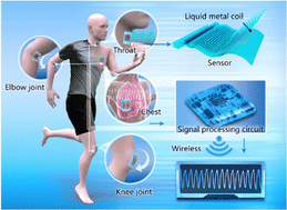 Ultra-high resolution, multi-scenario, super-elastic inductive strain ...