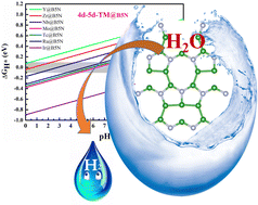 Single-atom transition metals doping two-dimensional BXN materials (X ...