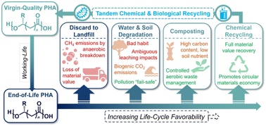 Polyhydroxyalkanoates in emerging recycling technologies for a circular ...