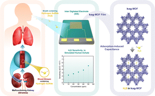A non-invasive approach for H2S gas sensing under stimulated breathing ...