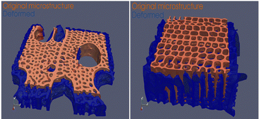 Developing the orthotropic linear-elastic model for wood applications ...