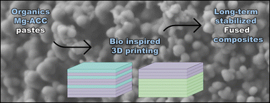 Bio-inspired 3D printing of layered structures utilizing stabilized ...