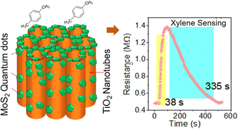 A MoS2 quantum dot functionalized TiO2 nanotube array for selective detection of xylene at low ...