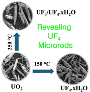 Revealing uranium tetrafluoride microrods - Materials Advances (RSC ...