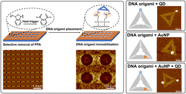 Selective placement of functionalised DNA origami via thermal scanning ...