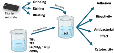 Development of titania coatings containing calcium, phosphorus, and ...