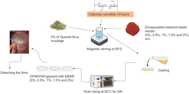 Fabrication of active and intelligent bio-based edible films using ...