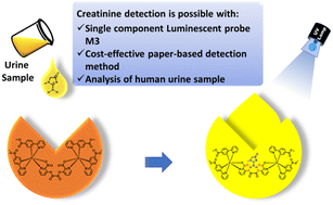 Facile, selective and cost-effective detection of creatinine from human ...