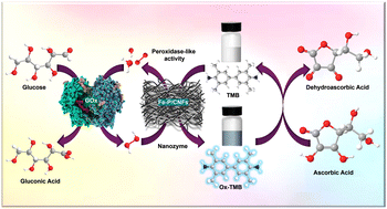 Fe-porphyrin-derived carbon nanofiber-based nanozymes: enhanced ...