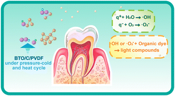 A reusable BTO-based composite film for safe and convenient tooth ...