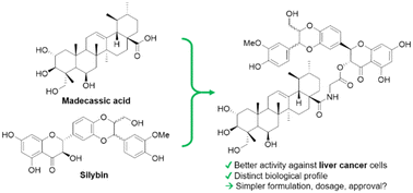 Synthesis and cytotoxic activity of madecassic acid–silybin conjugate ...