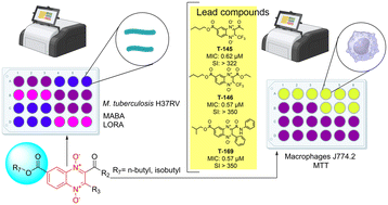 Expanding the chemical space of ester of quinoxaline-7-carboxylate 1,4 ...
