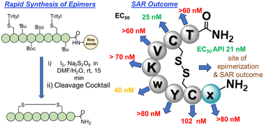 On-resin synthesis of Lanreotide epimers and studies of their structure ...