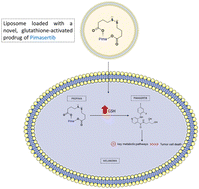 A novel, glutathione-activated prodrug of pimasertib loaded in ...
