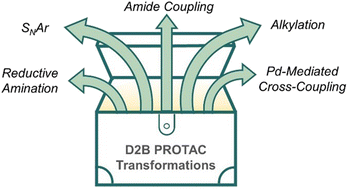 Expanding the reaction toolbox for nanoscale direct-to-biology PROTAC ...