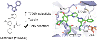 Lazertinib: breaking the mold of third-generation EGFR inhibitors - RSC ...
