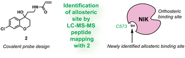 Identification of a novel allosteric binding site on the catalytic ...