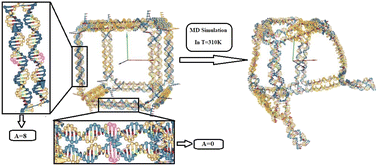 Wireframe DNA origami nanostructure with the controlled opening of ...
