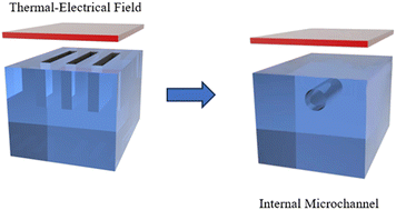 Stable fabrication of internal micro-channels in polymers based on a ...