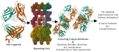 Investigating structural biophysical features for antigen-binding ...