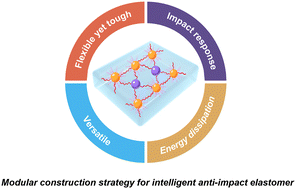 Intelligent anti-impact elastomers by precisely tailoring the topology ...