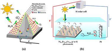 Advances and challenges in the modification of photoelectrode materials ...