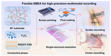 Flexible silk-fibroin-based microelectrode arrays for high-resolution ...