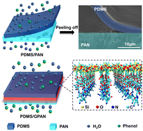 Design of PDMS/PAN composite membranes with ultra-interfacial stability ...