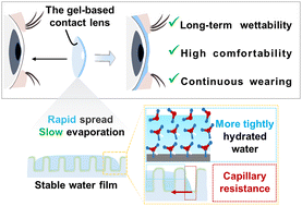 Rapid spread, slow evaporation: a long-lasting water film on hydrogel ...
