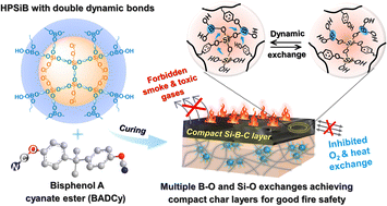 Si, B-containing dynamic covalent bonds enable excellent flame ...
