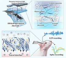 Dopamine-integrated all-hydrogel multi-electrode arrays for neural ...