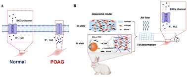 Self-generating electricity system driven by aqueous humor flow and ...