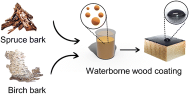 Fully bio-based water-resistant wood coatings derived from tree bark ...