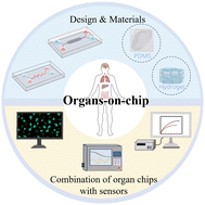 Sensor-combined organ-on-a-chip for pharmaceutical and medical sciences ...