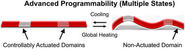 Thermally responsive spatially programmable soft actuators with ...
