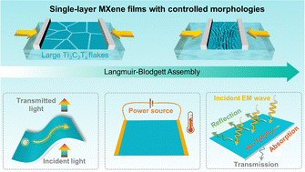 Multifunctional transparent conductive films via Langmuir–Blodgett ...
